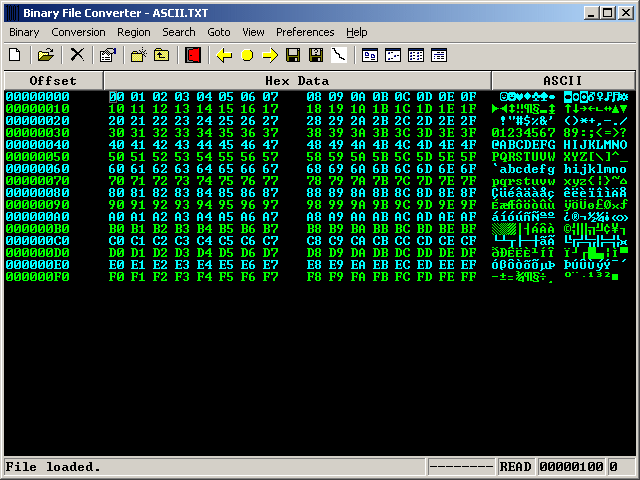 Binary File Converter
